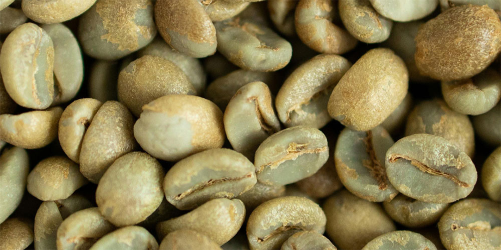 Mbanga Centre Cooperative | Experience the Richness of Cameroonian ...